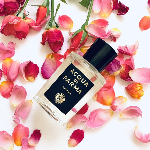 O nama – Aroma Parfemi